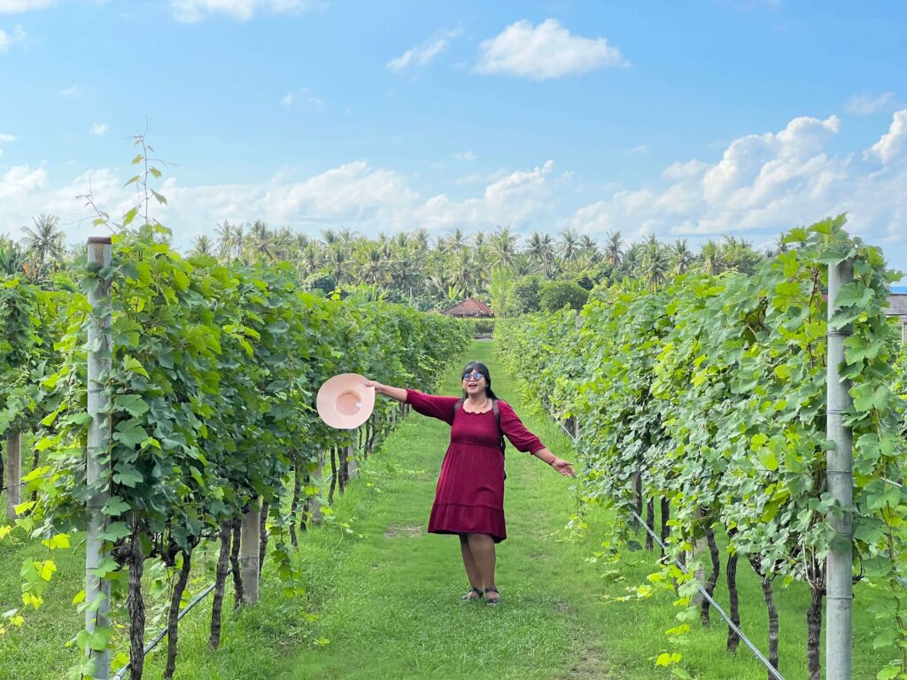 Bali’s Hatten Wine Experience: Vineyard Tour + All-You-Can-Eat Grapes ...